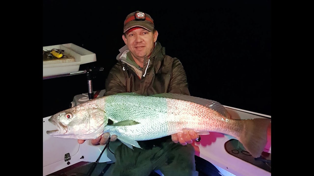 Mulloway ! Ep 17. Catching Estuary Mulloway And Gummy's !!! - YouTube