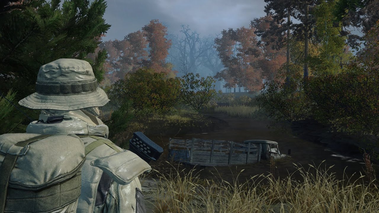 Stay Out: Steam/Stalker Online - Сервер МСК: По окраинам этого леса ...