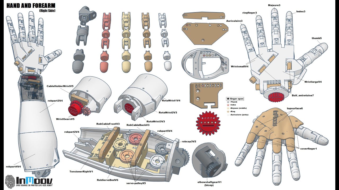 Hand i2(InMoov) - YouTube