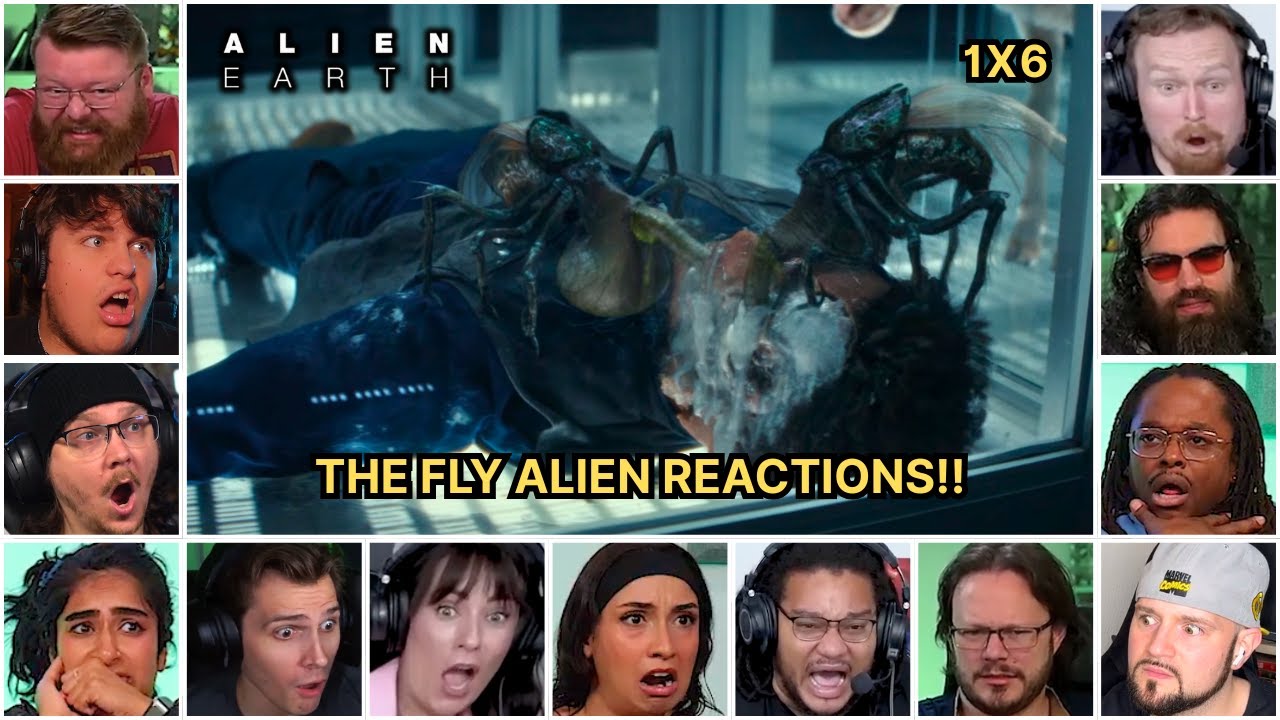 Reactors Reacting To The Fly | Alien Earth 1x6 Reaction Mashup - YouTube