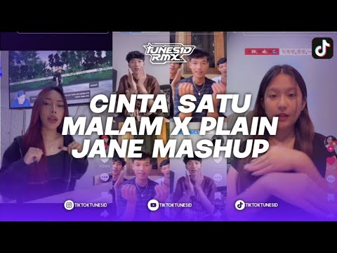 DJ CINTA SATU MALAM X PLAIN JANE A$AP FERG MASHUP