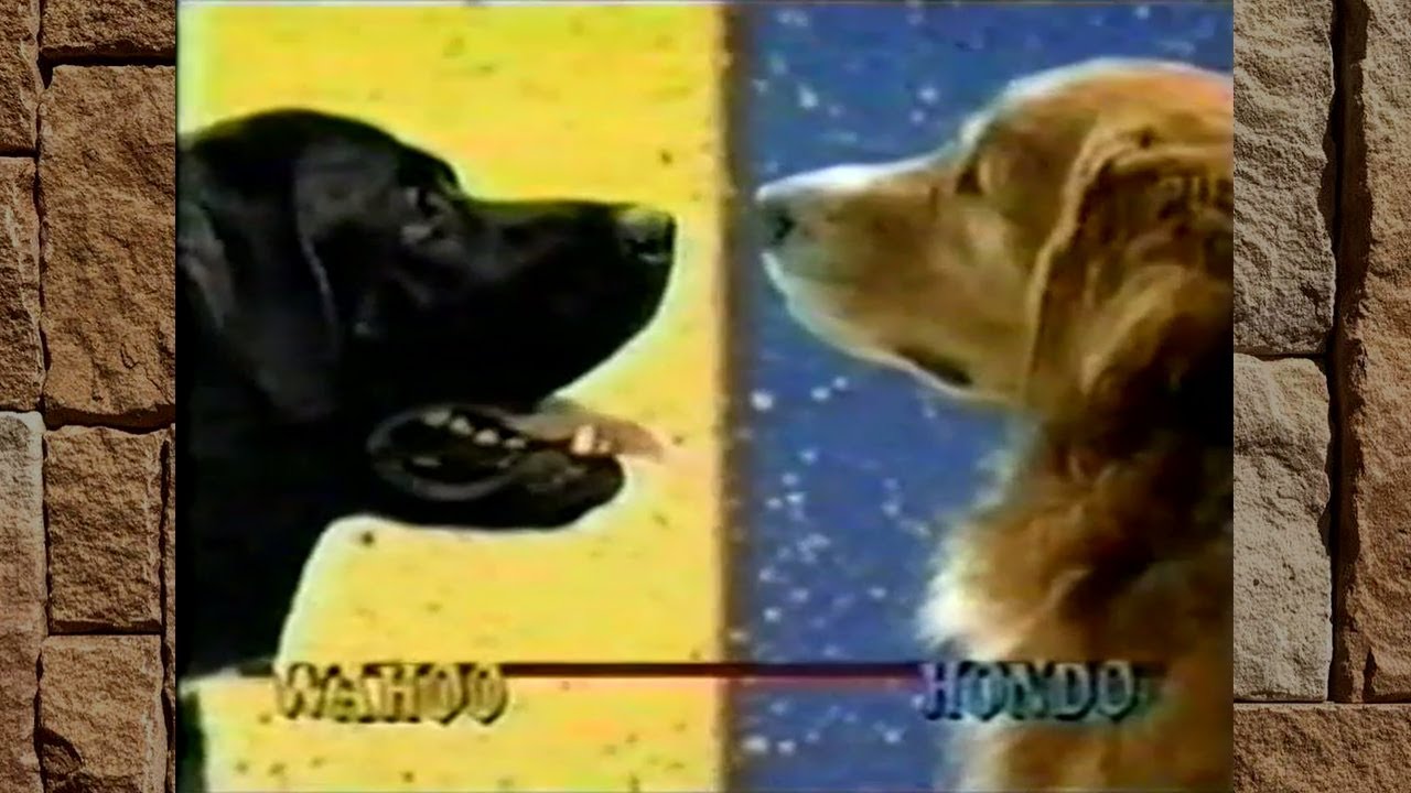 That's My Dog | Wahoo vs. Hondo - YouTube