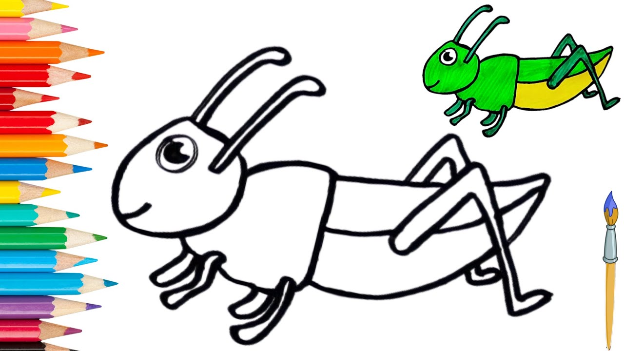 Grasshopper drawing | How to draw a Grasshopper Easy | Simple ...