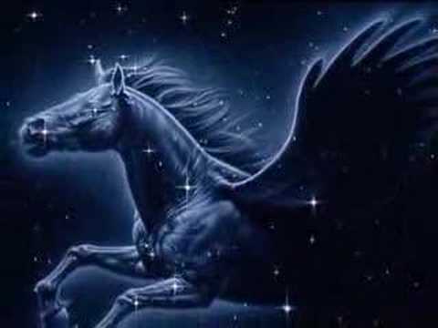 Unicorns - YouTube