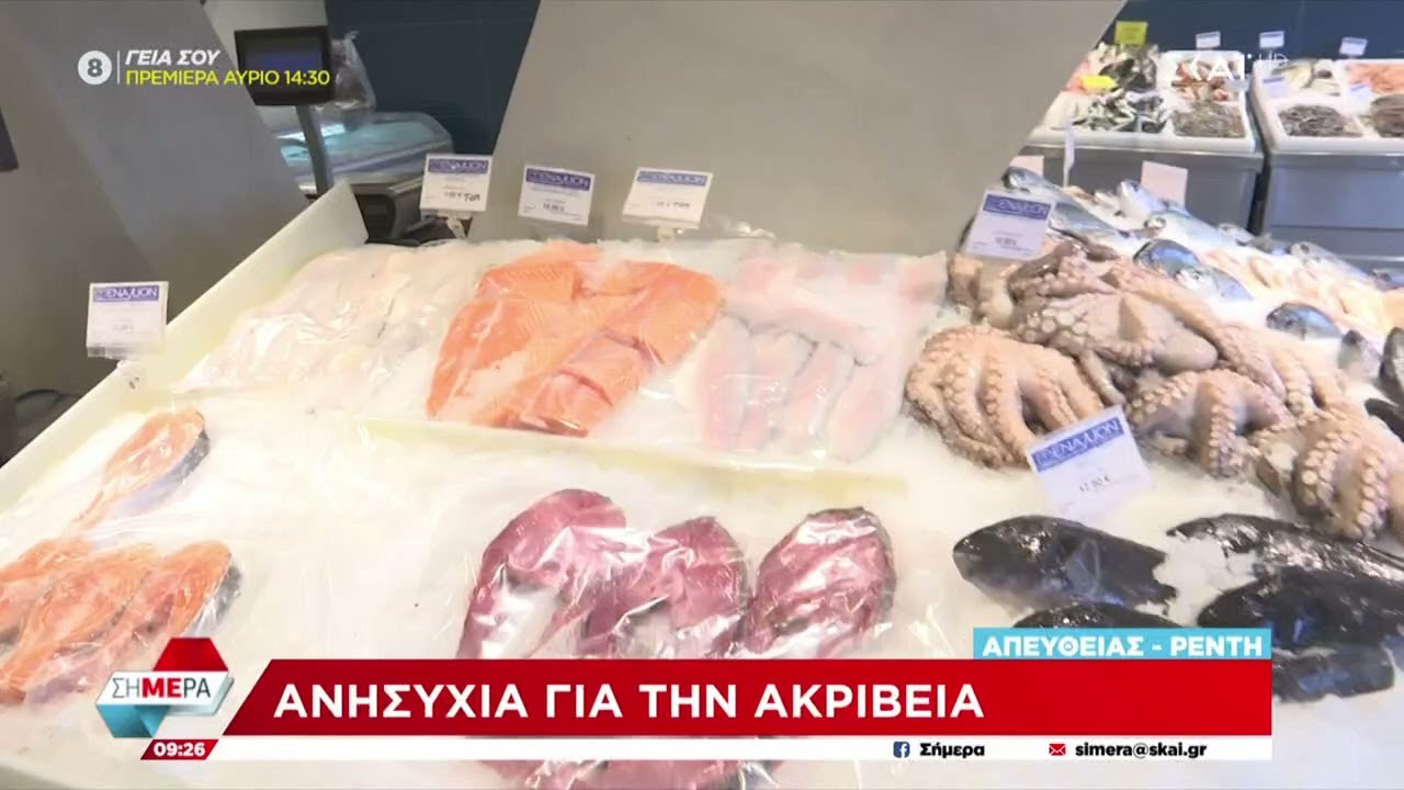 Που κυμαίνεται η τιμή ψαριών και θαλασσινών | Σήμερα | 16/09/2022 - YouTube