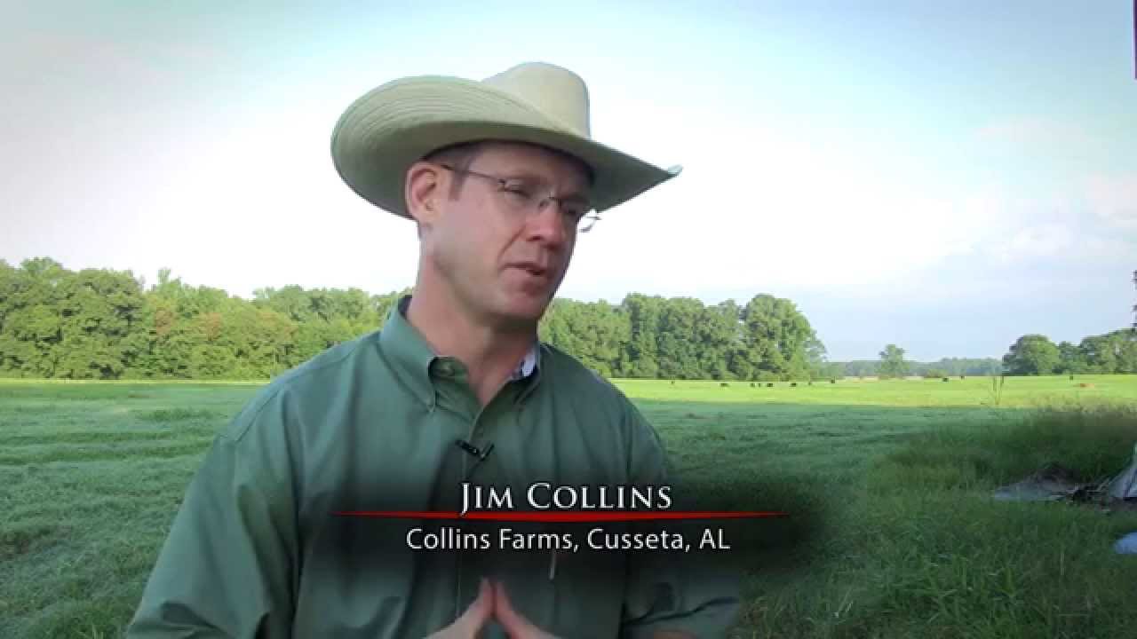 The Collins Family, Cusseta, Alabama - YouTube