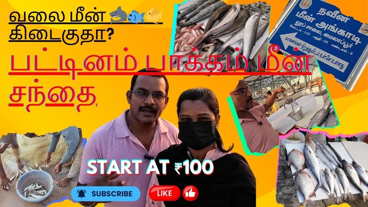 பட்டினப்பாக்கம் மீன் சந்தை | pattinapakkam New fish market #fish Market ...