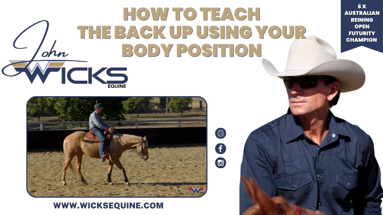 How to Teach the Back Up Using Your Body Position - YouTube