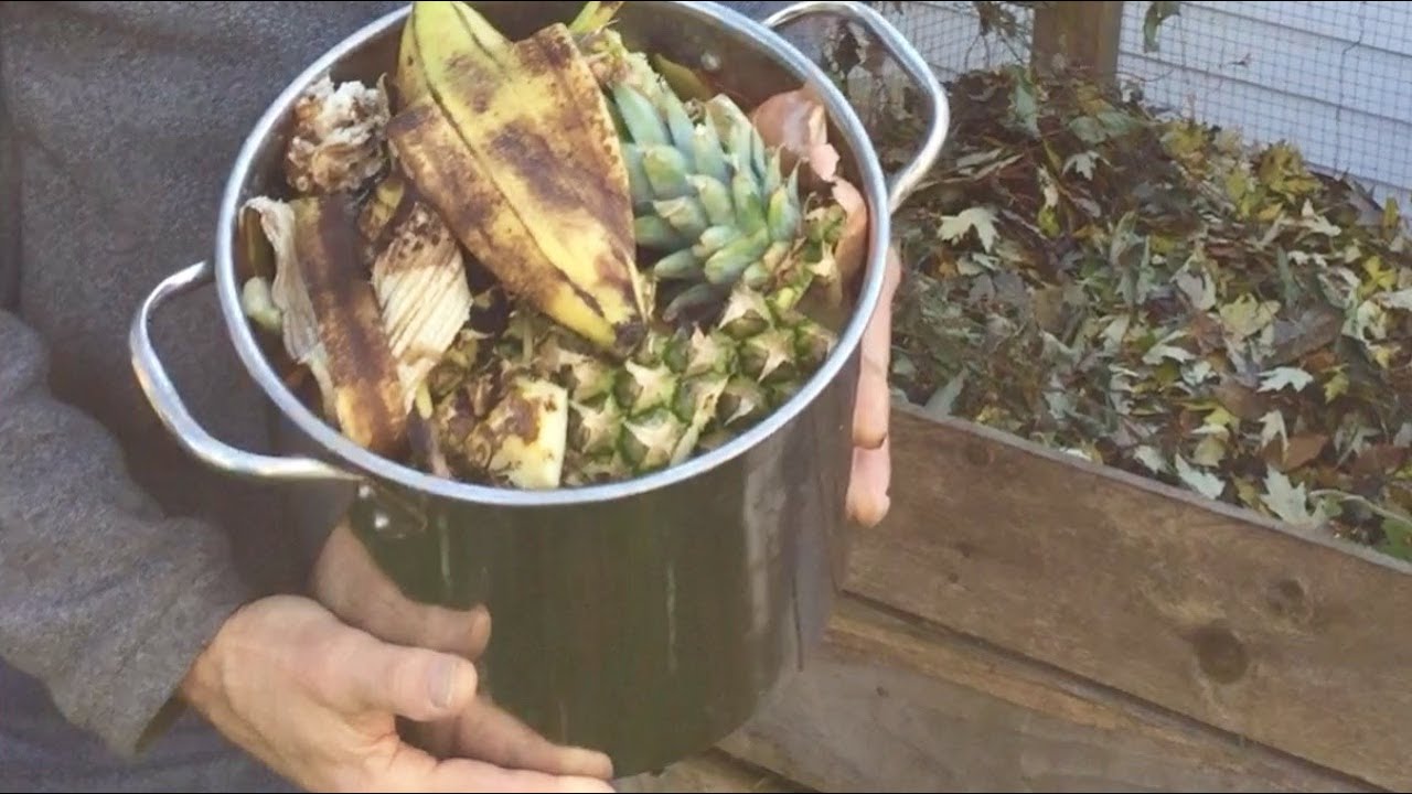 How to Compost Kitchen Waste - YouTube