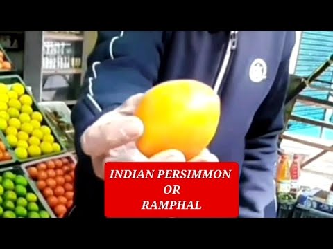 INDIAN PERSIMMON OR RAMPHAL - YouTube