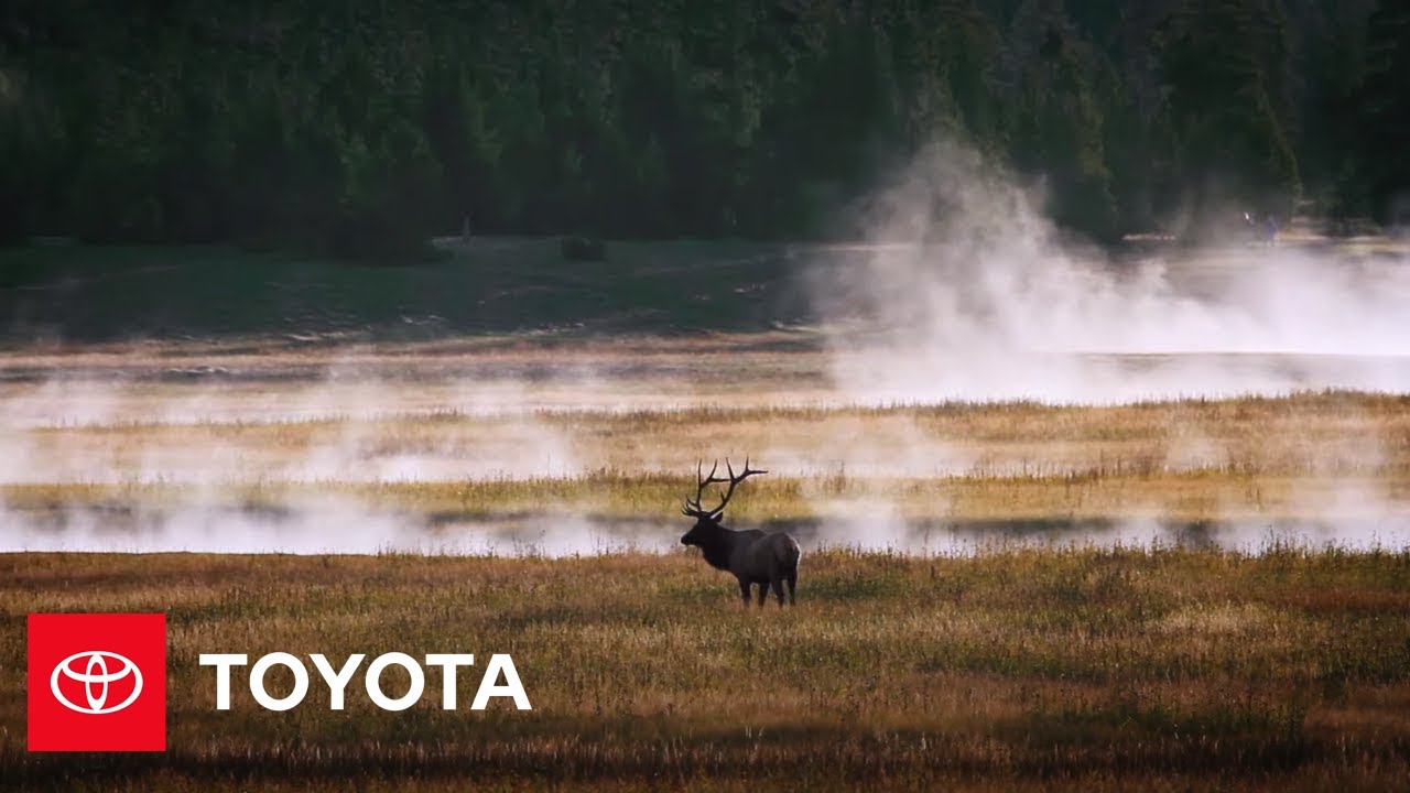 Battery Life After Cars | The Toyota Effect | Toyota - YouTube