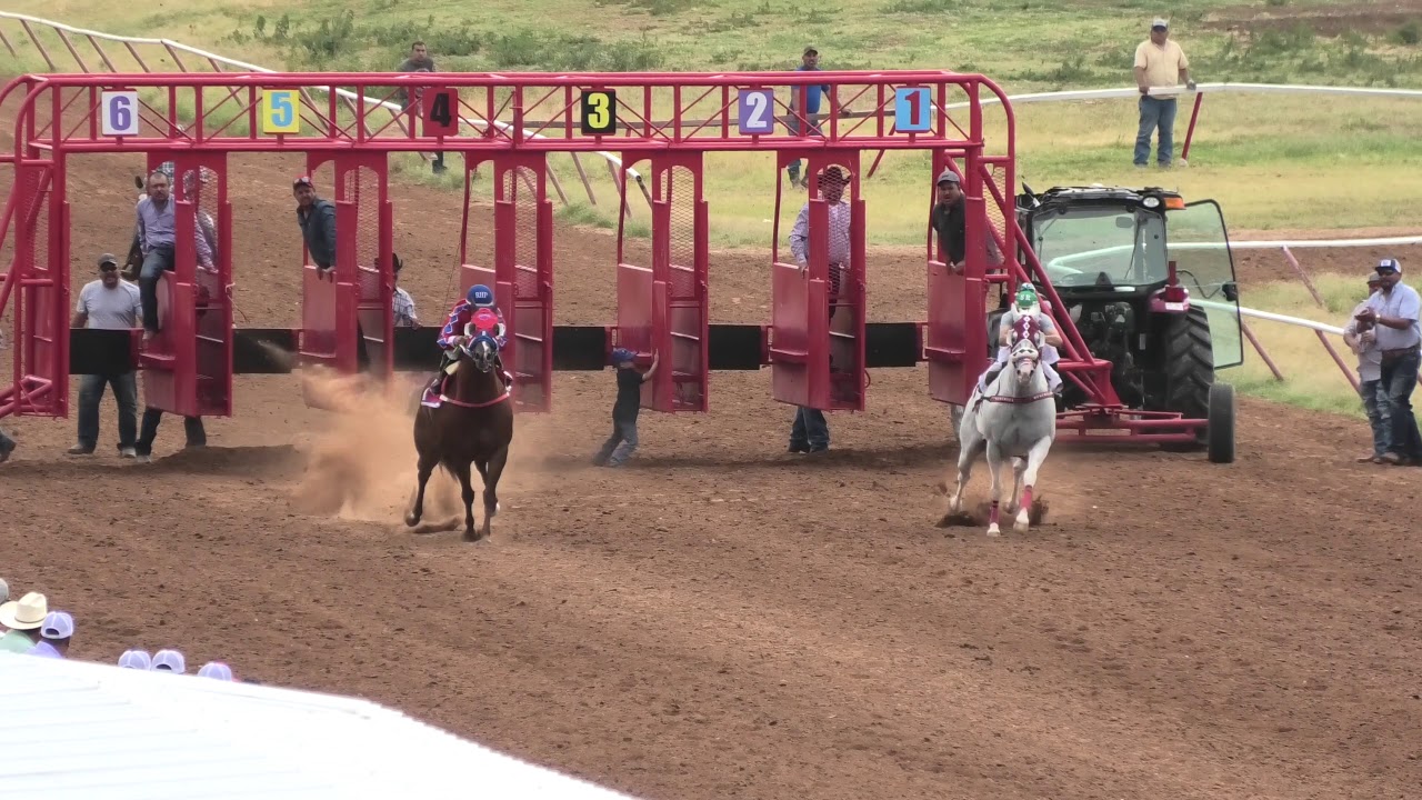 15 Cuadra Payan vs Cuadra Alex a 220 yardas - YouTube