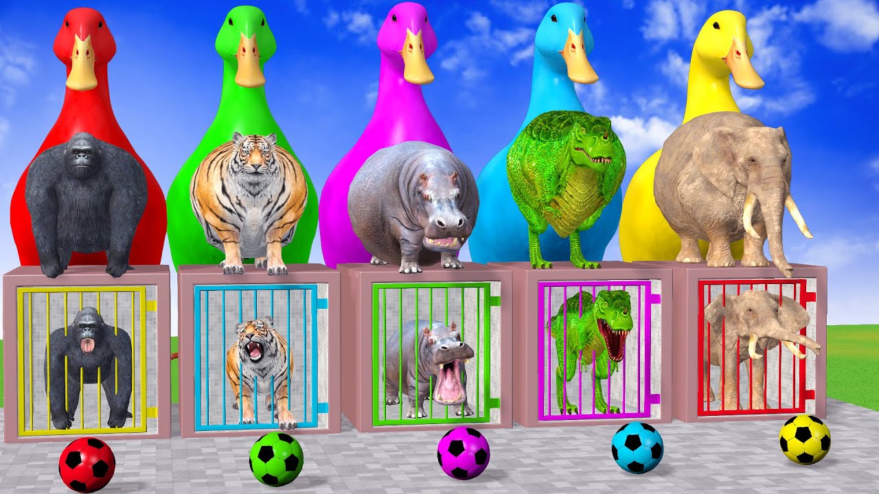 Long Slide Game With Cow Elephant Gorilla Hippopotamus Tiger - 3d ...