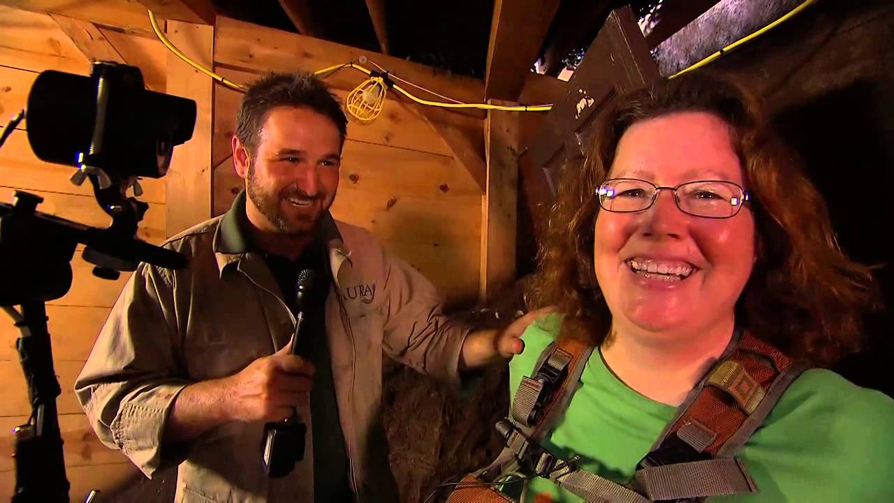 Scream Cam 2015 w/Interview of Filmmaker/Designer Robin Cowie, Busch ...