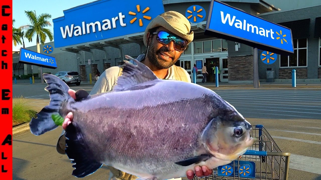 WALMART FISHING CHALLENGE! **$25 Cheapest Bait, Line, Hooks, and Spot ...