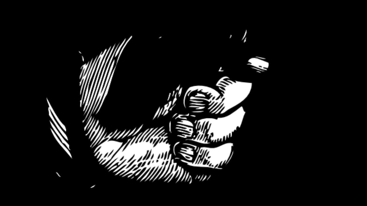 Computer Shops in Abuja by Delawtech Computers Abuja - YouTube