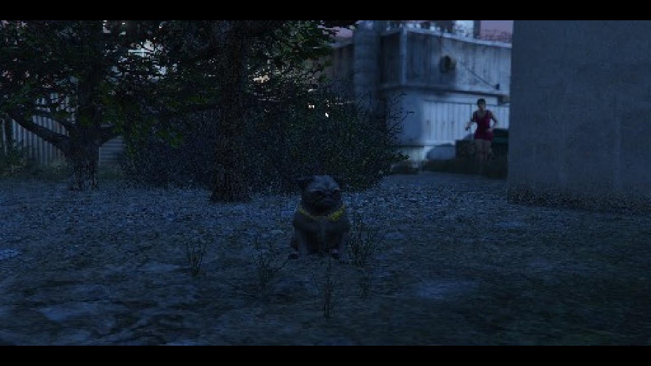 Evil Pug dog* - YouTube