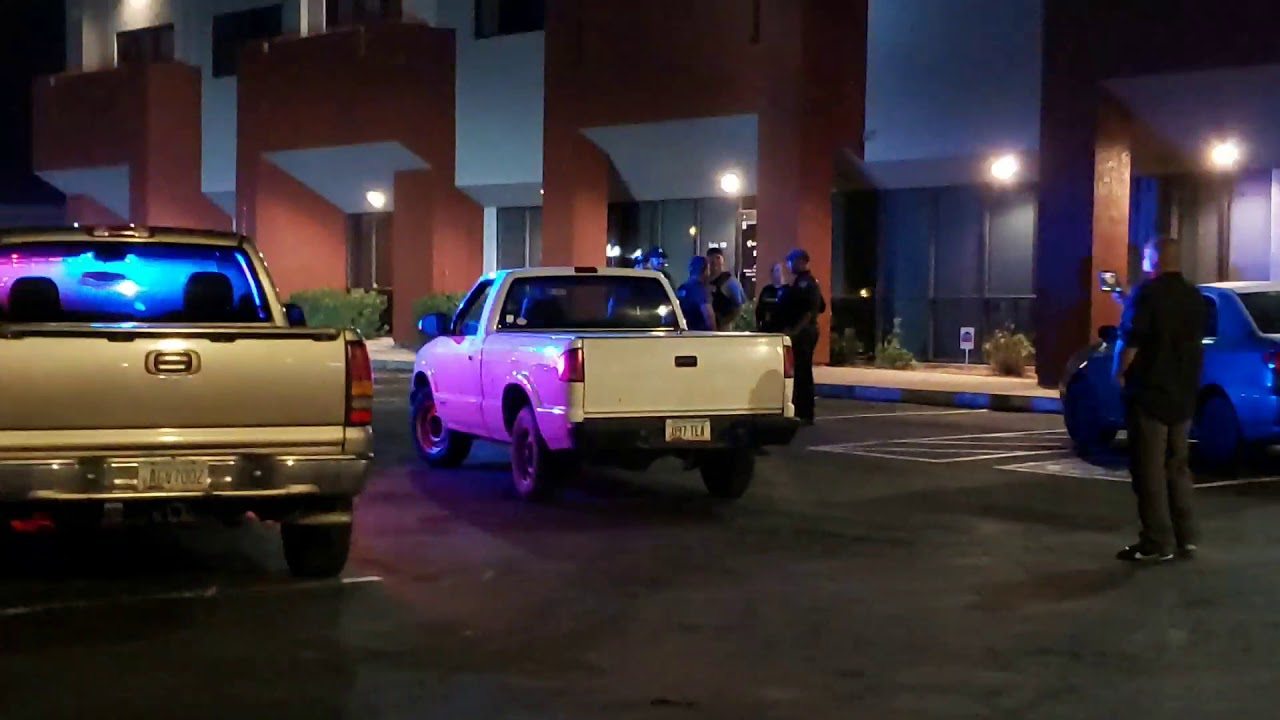TPD UNDERCOVERS Copwatch Challenge Undercover Piggie huddle - YouTube
