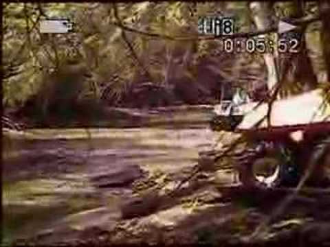 MAX II Amphibious ATV in Creek - YouTube