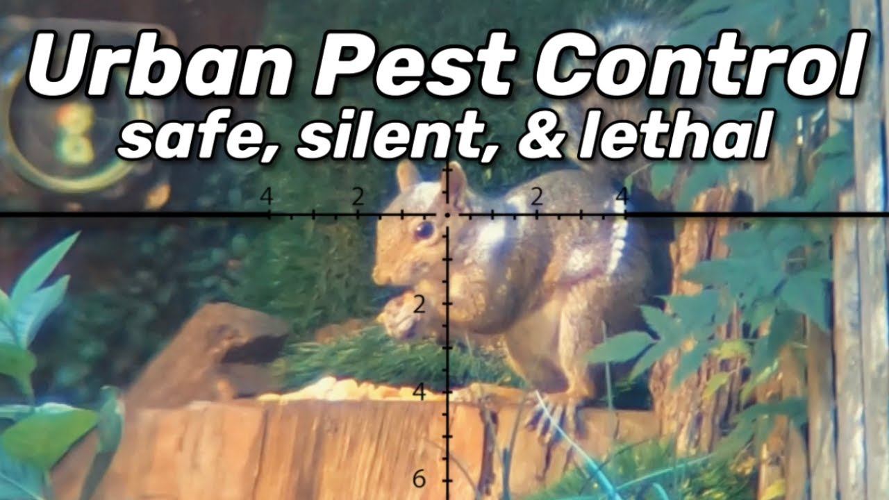 Urban Pest Control (Heavy and Slow - Safety 1st!) - YouTube
