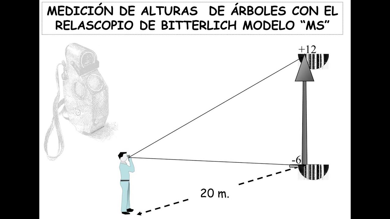 MEDICIÓN DE ALTURAS DE ÁRBOLES CON EL RELASCOPIO DE BITTERLICH - YouTube