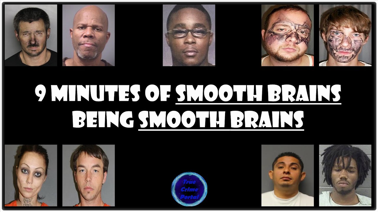 9 Minutes of Smooth Brains Being Smooth Brains - YouTube