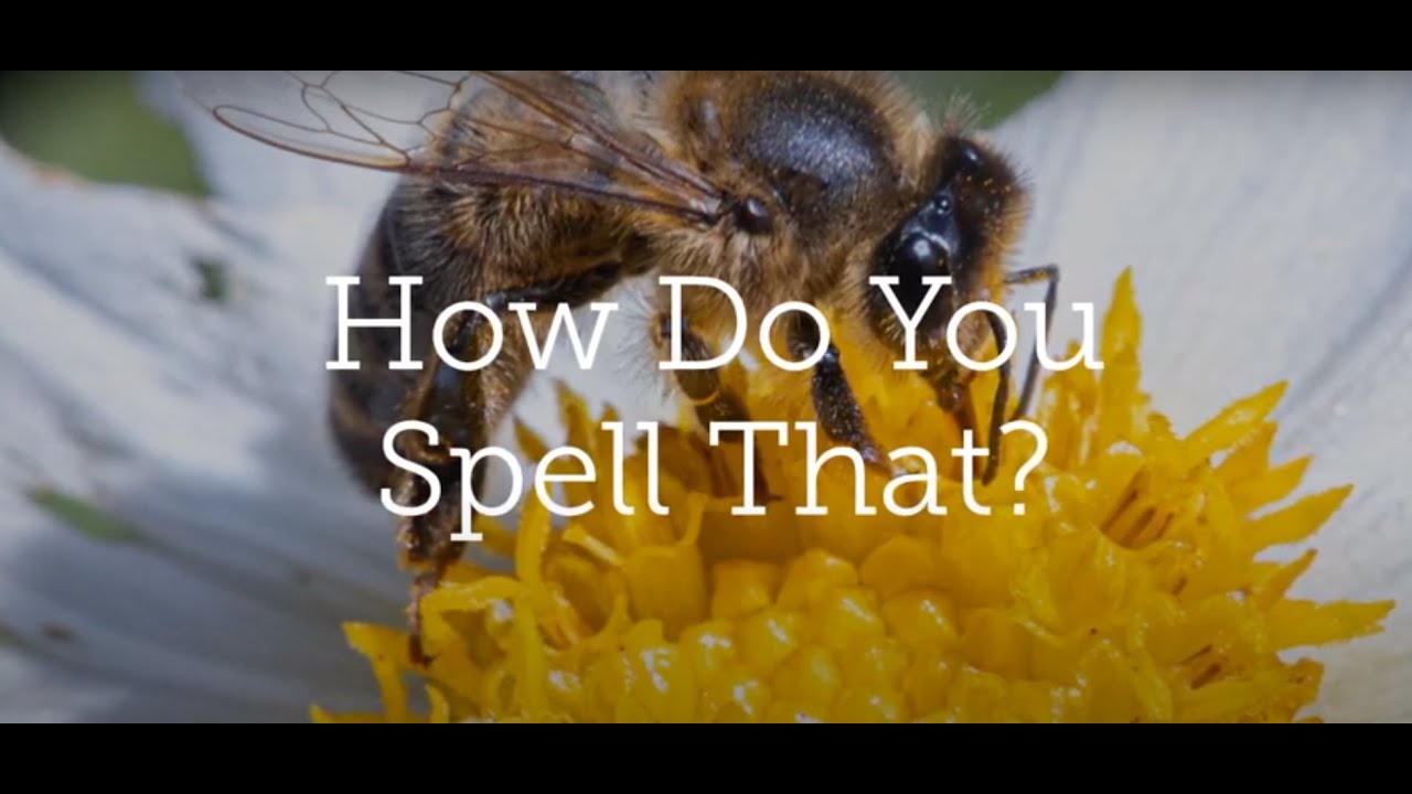 How Do You Spell That YouTube how-do-you-spell-that-youtube