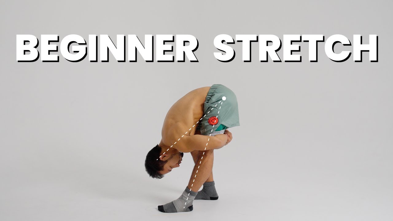 12 Minute Hip Opening Routine for BEGINNERS - YouTube