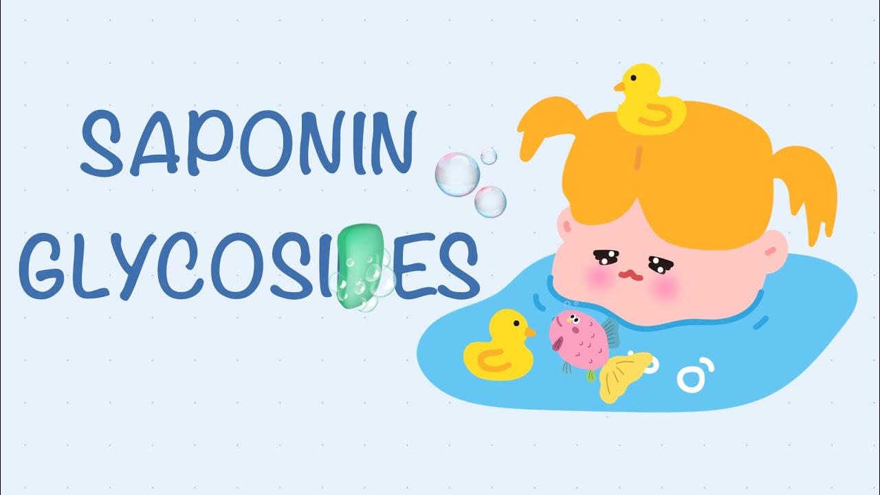 saponin glycosides | pharmacognosy 8 - YouTube