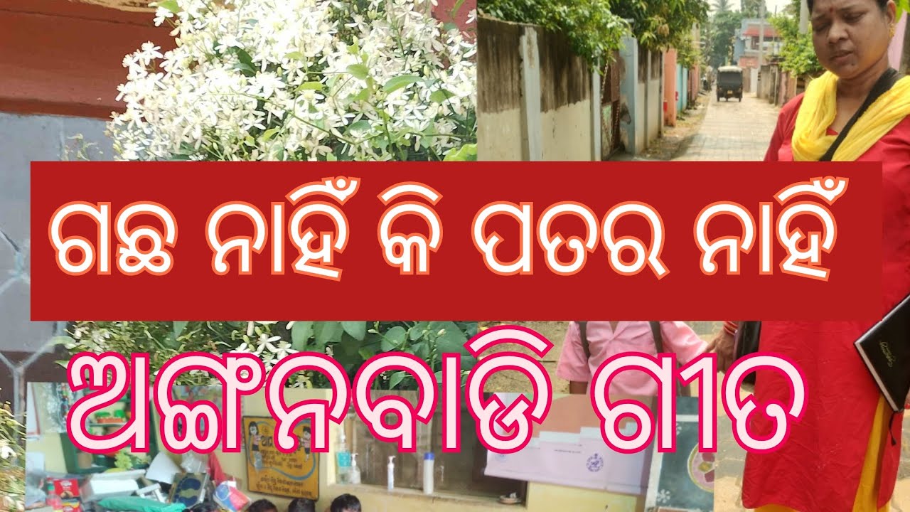 Gachha nahin ki patara nahin#anganawadi #odia #preschool - YouTube