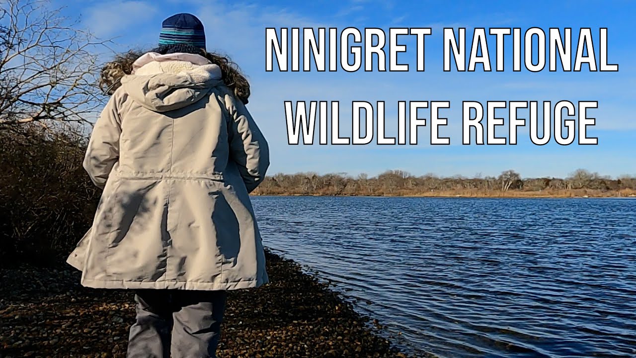 Ninigret National Wildlife Refuge Winter Walk - YouTube