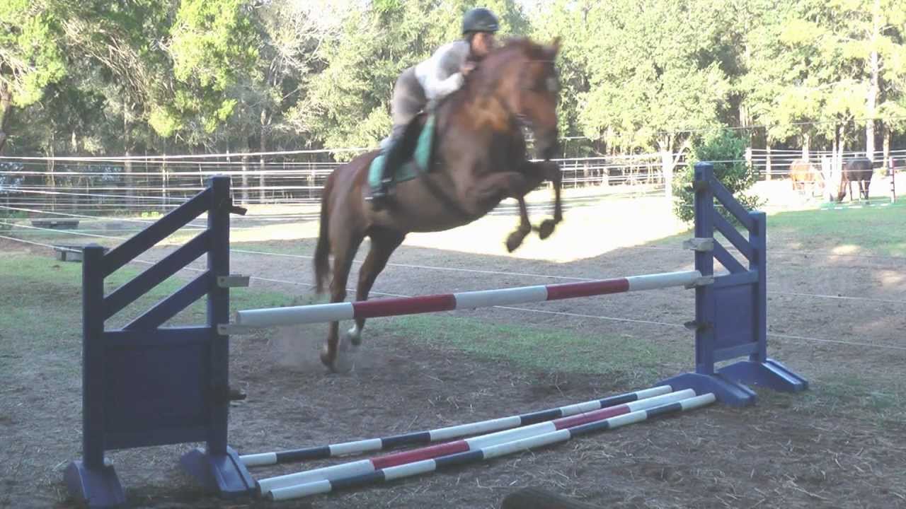 Aphrodite II M - YouTube