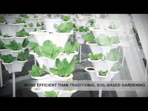 Ez Gro Garden Vertical Growing Solution - YouTube