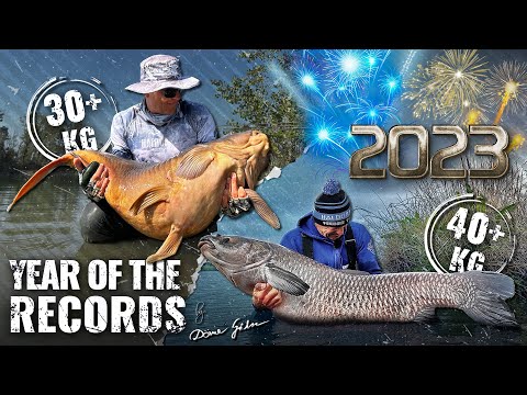 Döme Gábor - A rekordok éve volt 2023