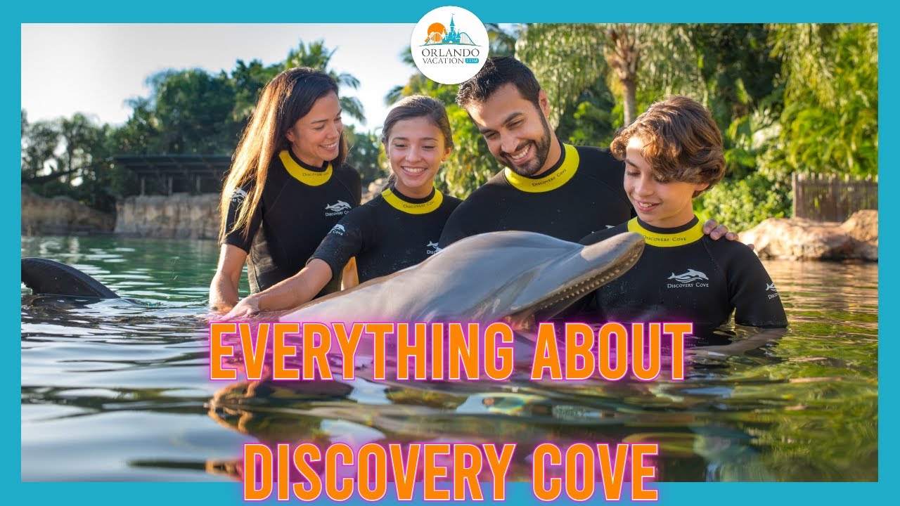 Discovery Cove One Day Resort Dolphin Swim Package - YouTube