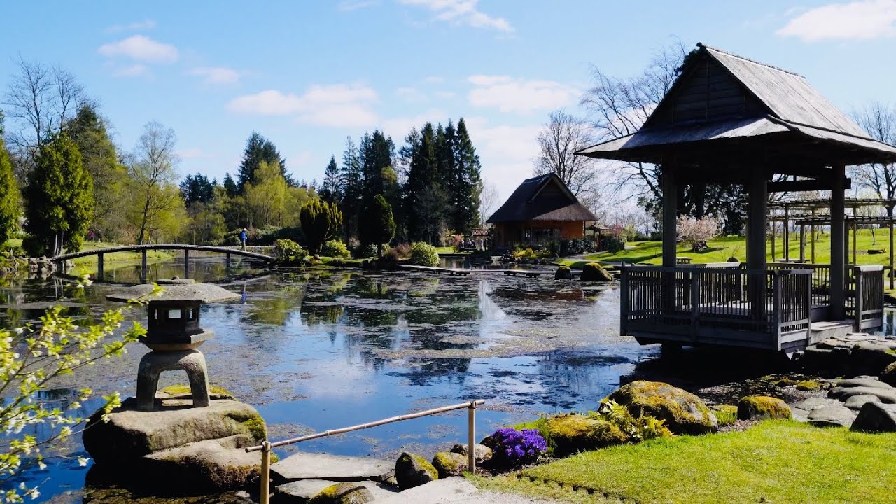 There's a Japanese Garden in Scotland and it's Beautiful! 🇯🇵🏴󠁧󠁢󠁳󠁣󠁴󠁿 ...