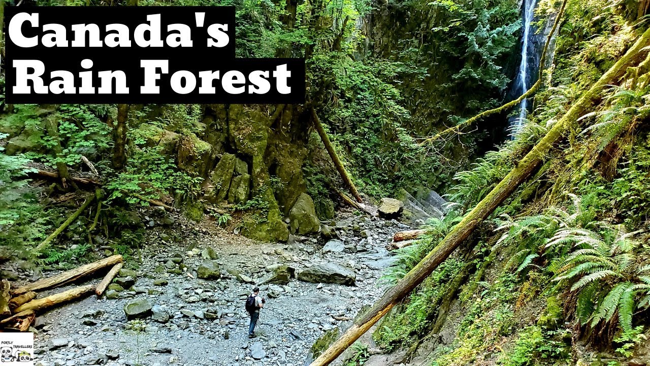 Canadian Rainforest & Niagara Falls - YouTube