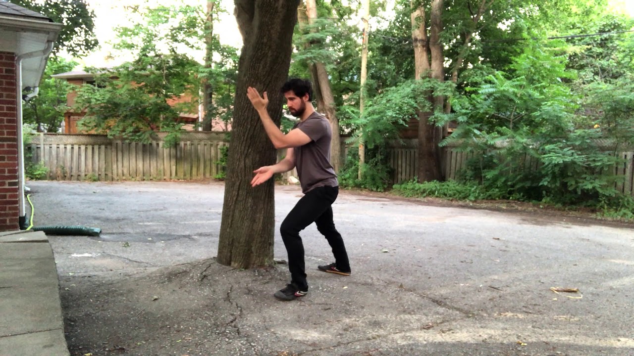Set 3 of our Ba Gua Zhang form - YouTube