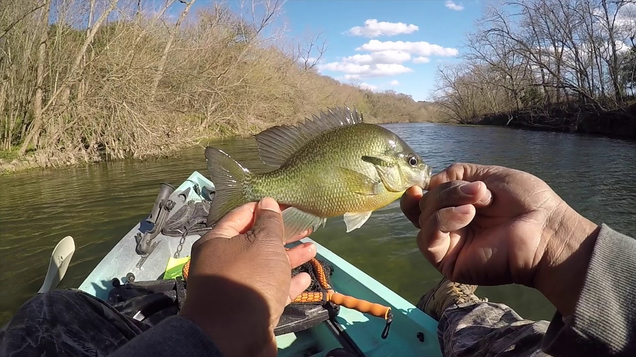The Day After! Sunfish Heaven! - YouTube