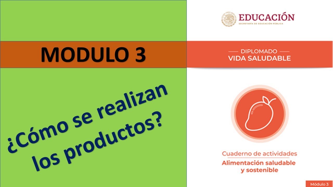 MODULO 3 DIPLOMADO VIDA SALUDABLE ¿Cómo se realizan los productos? - YouTube