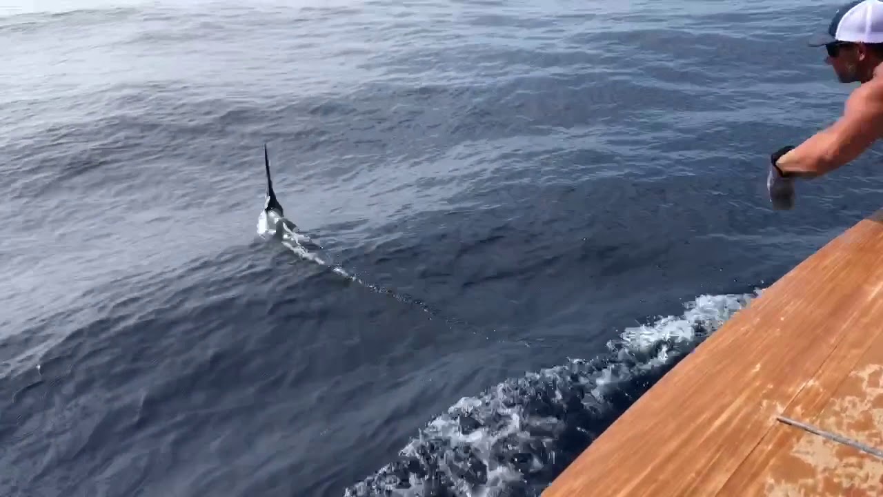 Fishing on Rhonda’s Osprey - YouTube