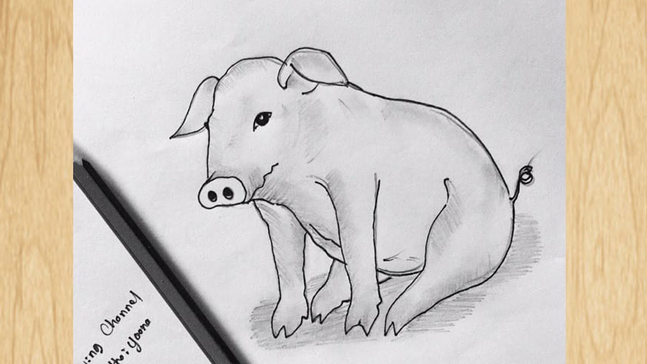 Drawing Rabbit vs Pigs with pencil,pencil drawing images,pencil ...