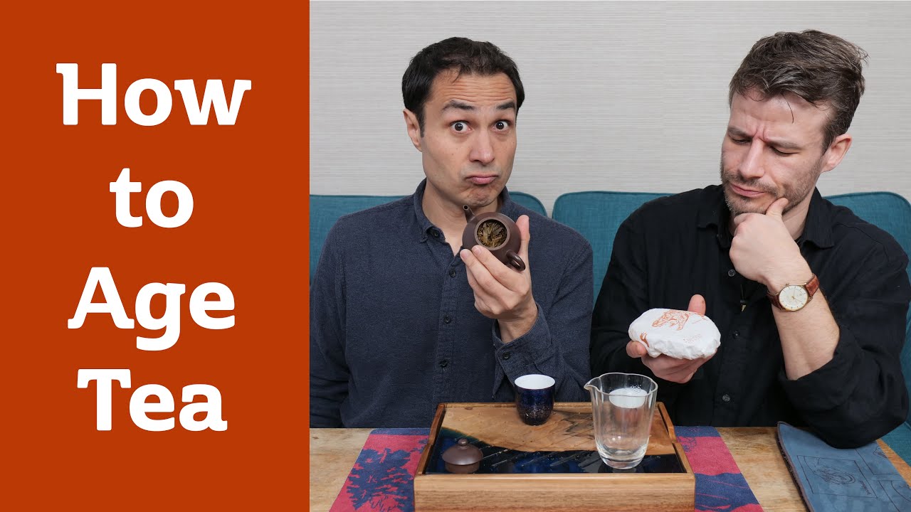 How to Age Tea Like a Pro! 🍵📚 Tea Aging Explained | Storage, Process ...