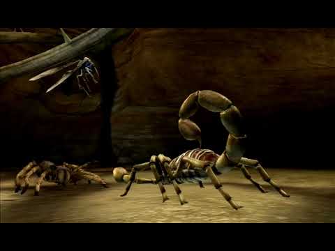 Deadly Creatures Wii Intro + Gameplay [No Commentary] - YouTube