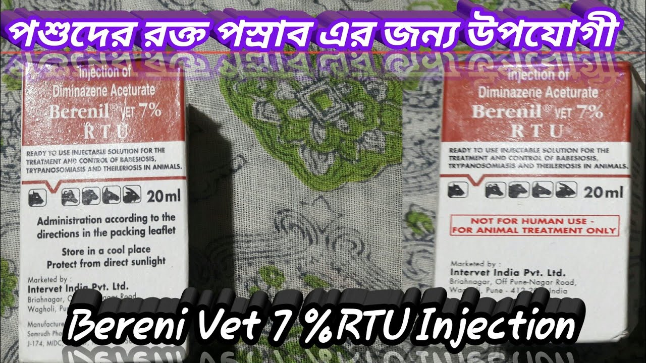 Berenil Vet 7% RTU for Animal Hematuria Treatment ./use/abuse ...