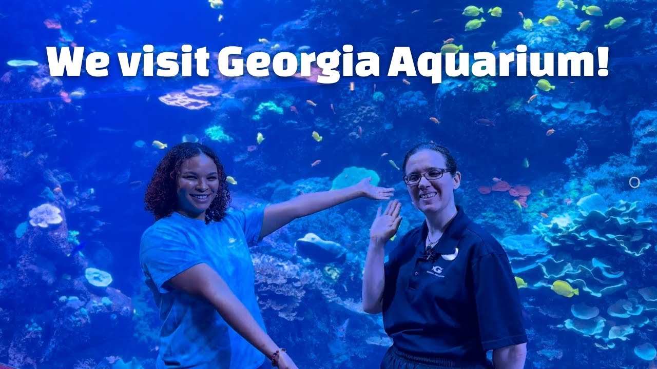 Bioluminescence, Coral Reefs, and a Scavenger Hunt at Georgia Aquarium ...