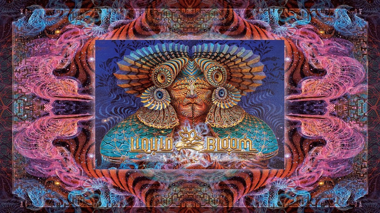 Liquid Bloom DJ Set @ Meow Wolf Santa Fe - YouTube