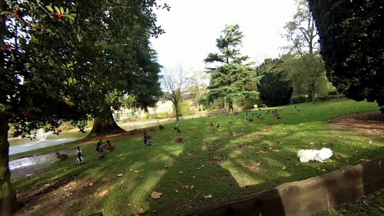 Mimi au parc de Mouscron - YouTube