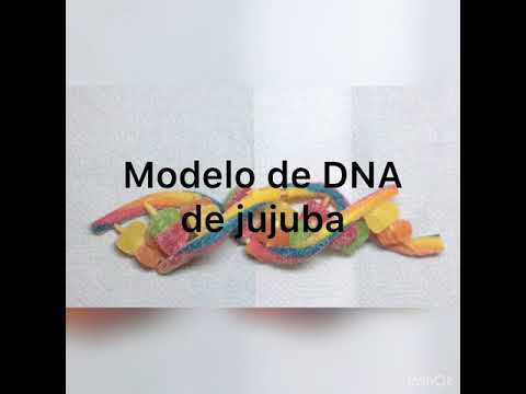 aula DNA jujuba - YouTube