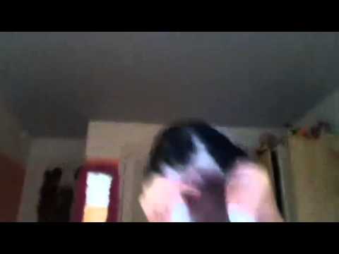 Twerking dawg